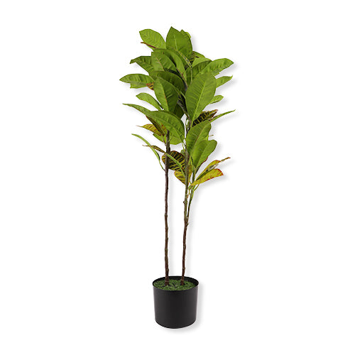 The Greenery Artificial Loquat Rubber Tree 100cm (3ft) - FabFinds