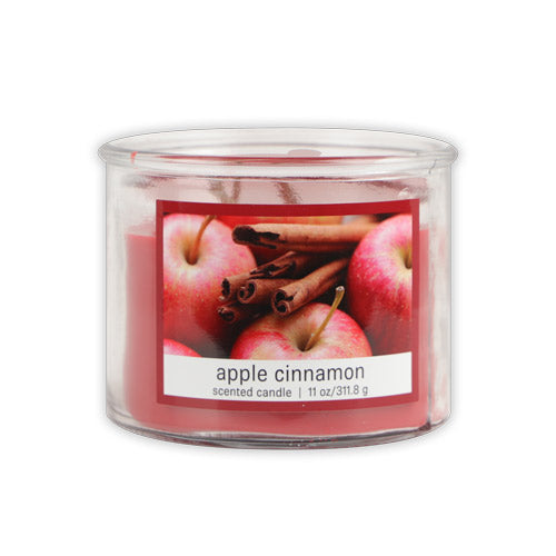 Apple Cinnamon Scented Candle 11oz - FabFinds