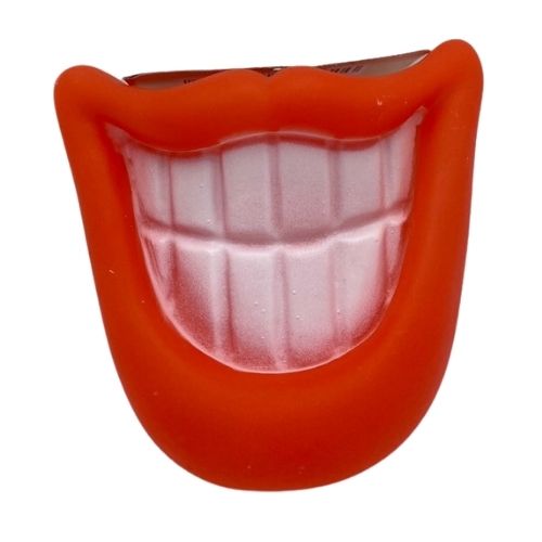 Cooper & Pals Photobooth Smiley Dog Toy - FabFinds